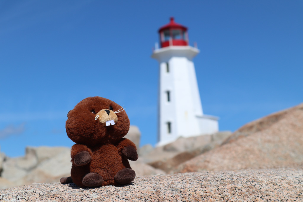 Dorian’s Story – Janelle Visser